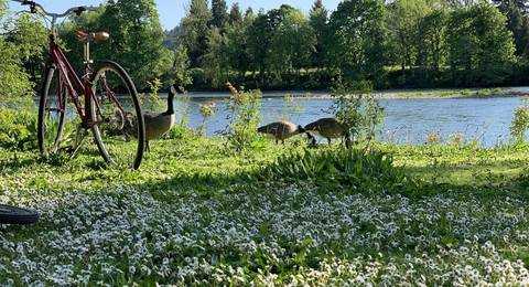 Do You Live In Springfield And Want To Know What Your Home Is Worth?